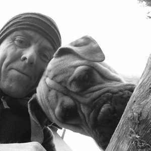 Michael Esson | Saatchi Art