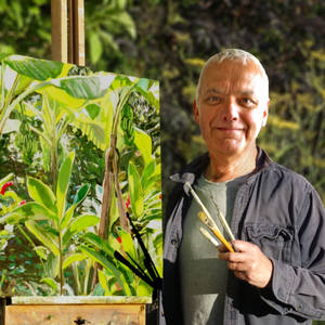 Rob Collins | Saatchi Art