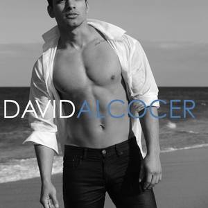 David Alcocer | Saatchi Art