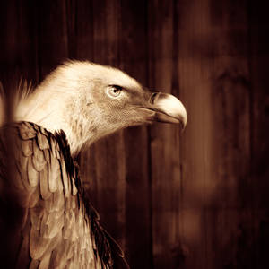 Ingo Menhard | Saatchi Art