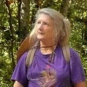 Robin Lewis-Wild | Saatchi Art