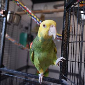 Molly Widstrom | Saatchi Art