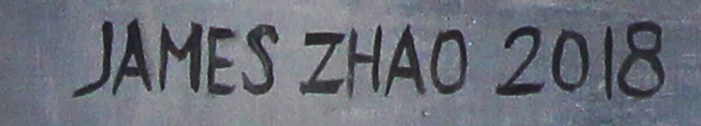 James Zhao | Saatchi Art