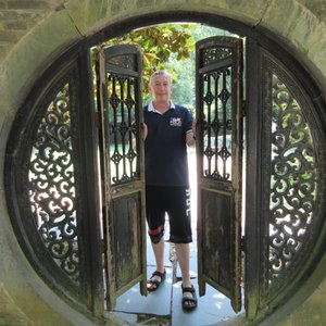 Colin Gale | Saatchi Art