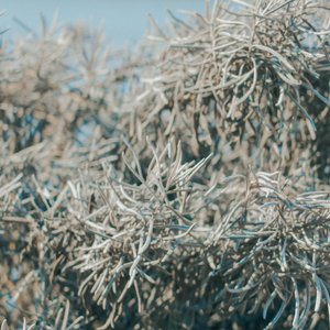 Timothy R Butcher | Saatchi Art