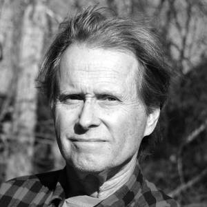 David Ryan | Saatchi Art