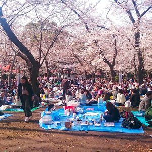 Simon Benson | Saatchi Art