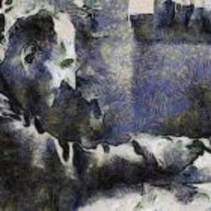 W G Wiegman | Saatchi Art