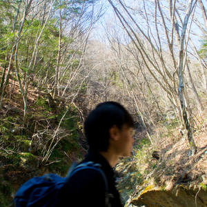 Shin Itagaki | Saatchi Art United Kingdom