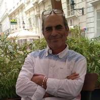 Liquid Tiger Painting by David Iben Ezri | Saatchi Art