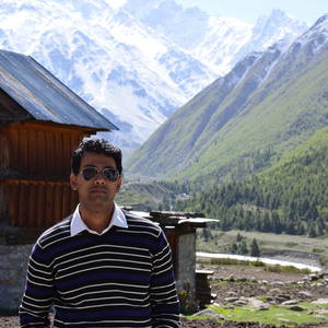 Gaurab Banerjee | Saatchi Art