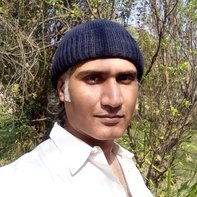 Lynx Drawing by Taha Mansour | Saatchi Art