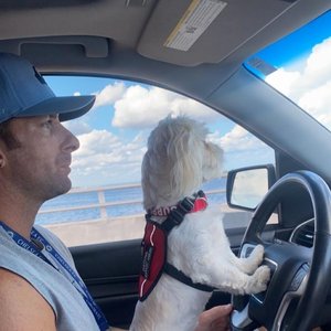 James Silcox Coast Guard | Saatchi Art