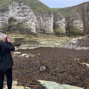 Rachel Smallwood | Saatchi Art