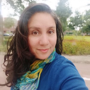 Paula Rook | Saatchi Art