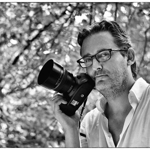 stefano gujon | Saatchi Art