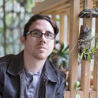 Fluorescent Milkwort 1/20 Photography by Craig P Burrows | Saatchi Art