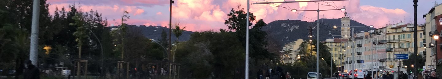 Ginger Hahn | Saatchi Art