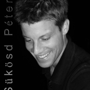 Peter Sukosd | Saatchi Art