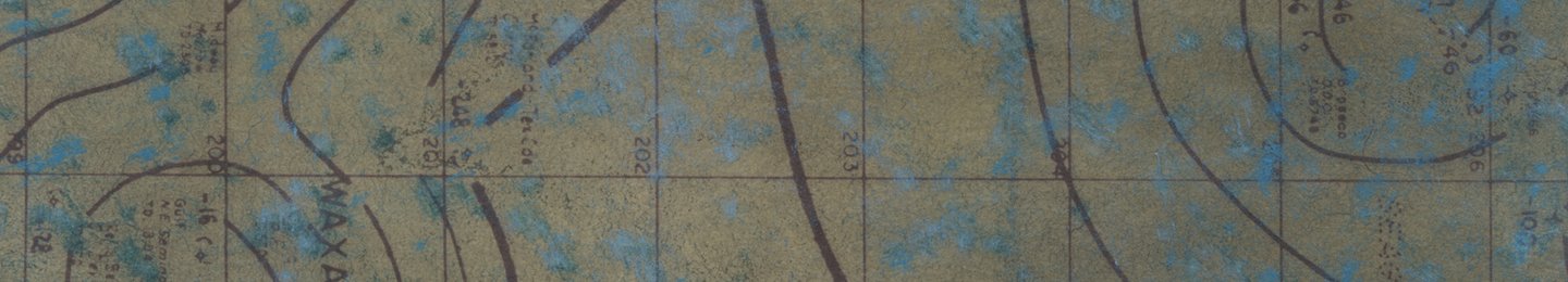 Shannon Rankin | Saatchi Art