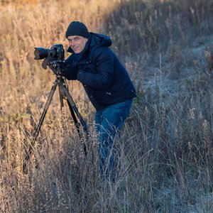 Stefano Caporali | Saatchi Art