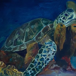 Tina Rowe | Saatchi Art