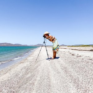 Tasha Roth | Saatchi Art