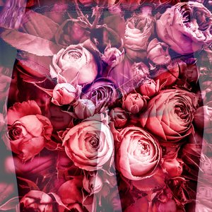 Michelle Bolitho | Saatchi Art