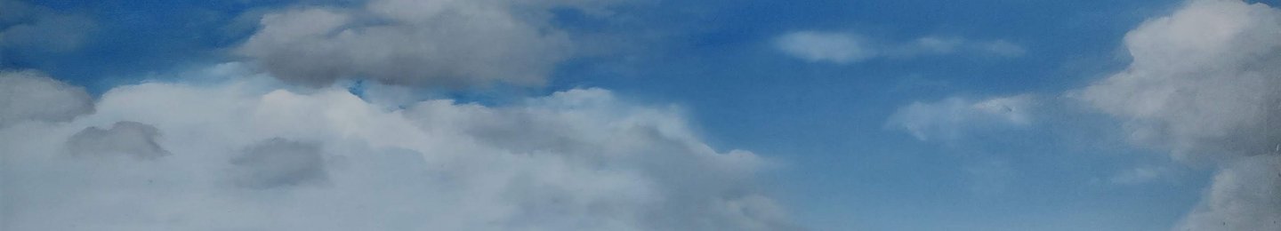 David Scott McCurry | Saatchi Art