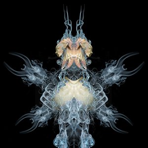 Nigel Ferris | Saatchi Art