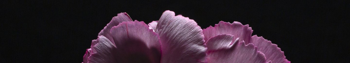 Marcella Fierro | Saatchi Art