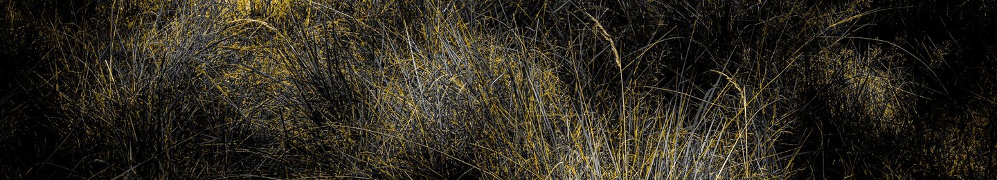 Michelle Blancke | Saatchi Art