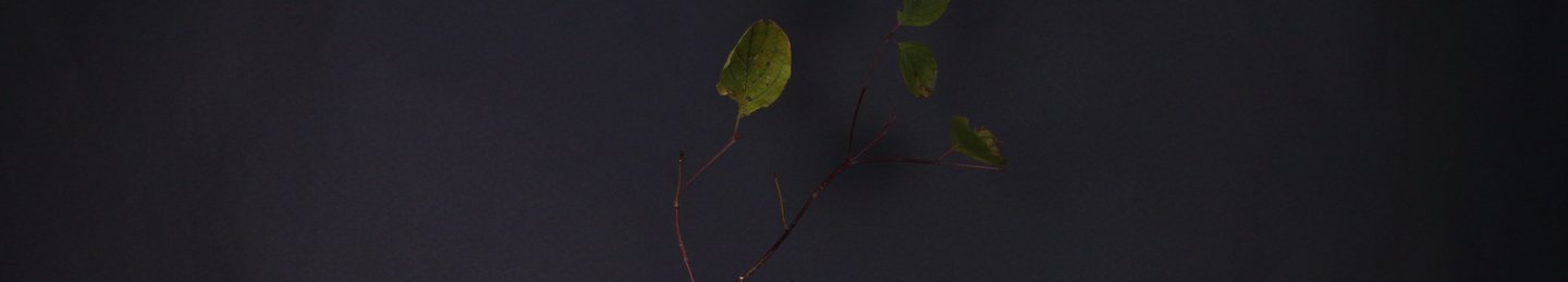 Hannah Andrus | Saatchi Art