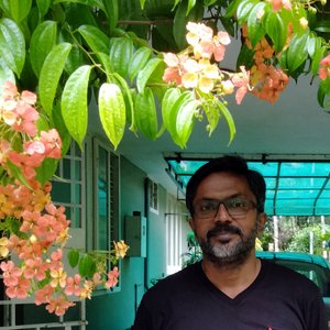 Raji Pavithran | Saatchi Art