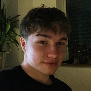 Franz Riley | Saatchi Art