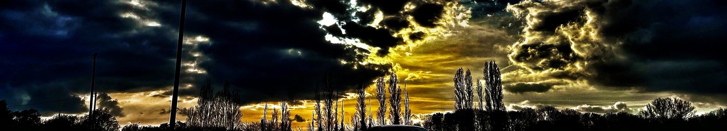 Ali Almasi | Saatchi Art