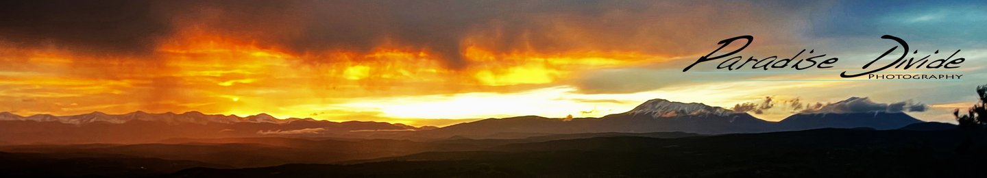 Gordon Reeves | Saatchi Art