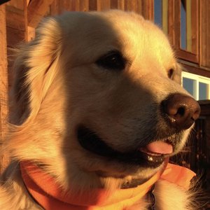 Gordon Reeves | Saatchi Art