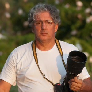 Meir Martin | Saatchi Art