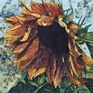 may jones Artworks | Saatchi Art