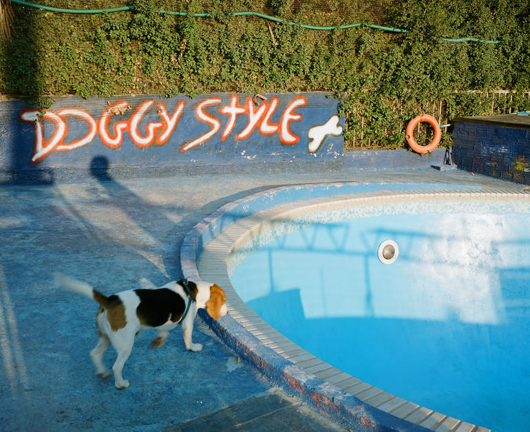 doggiestyle是什么,doggiestyle,style是什么意思_大山谷图库