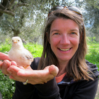 Plight of the Honey Bee Printmaking by Kate Samworth | Saatchi Art