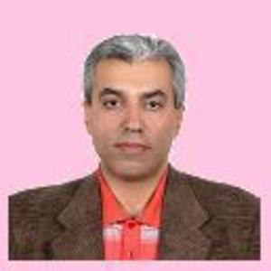 mohammad safavi naini | Saatchi Art