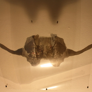 Kristina-Alexandra Rennie | Saatchi Art