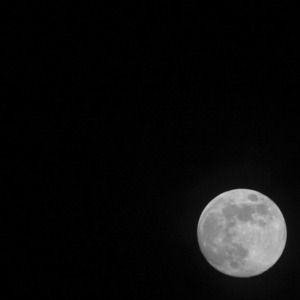 Kate Bayley | Saatchi Art