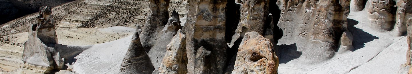 Lisa Appel | Saatchi Art