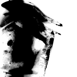 Adam Raphael Zilberman | Saatchi Art