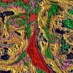 K Shayne Jacobson | Saatchi Art