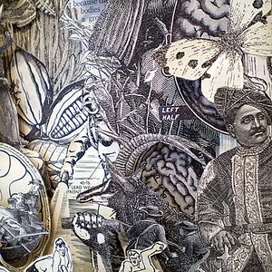 Adele Moreau | Saatchi Art