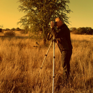 Brian Rolfe | Saatchi Art